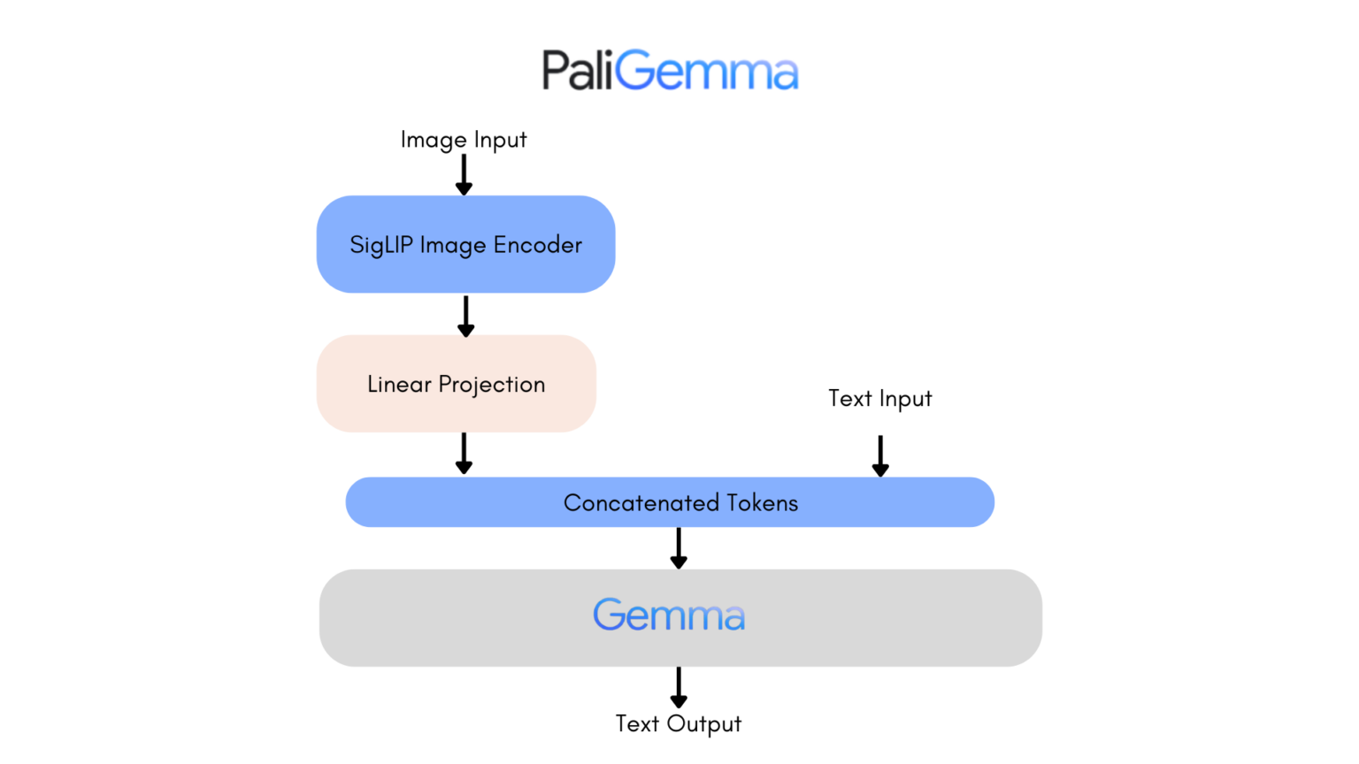 【PaliGemma】画像を理解できるGoogleのオープン言語モデル | WEEL
