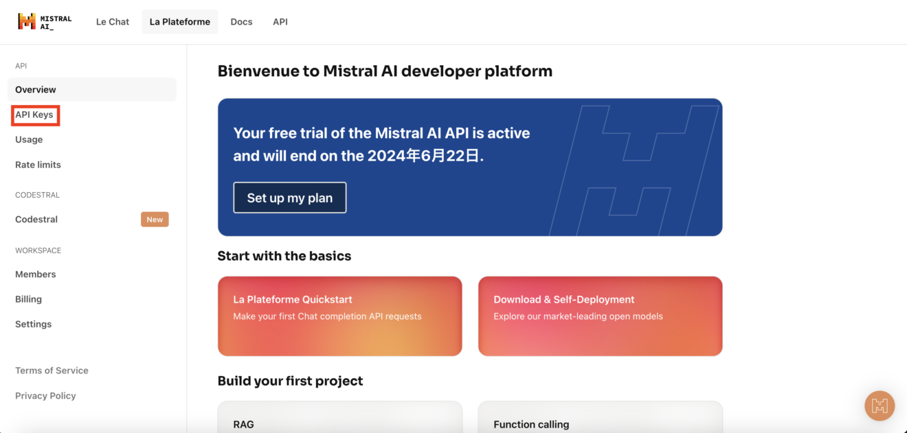 【Codestral-22B】Mistral AI発コーディングAI！80言語以上に対応！ | WEEL