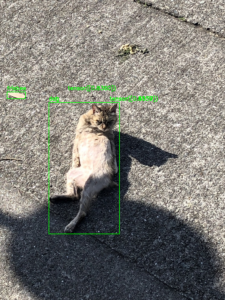 YOLOとは？仕組みやメリット・デメリット、実装方法まで徹底解説 | WEEL